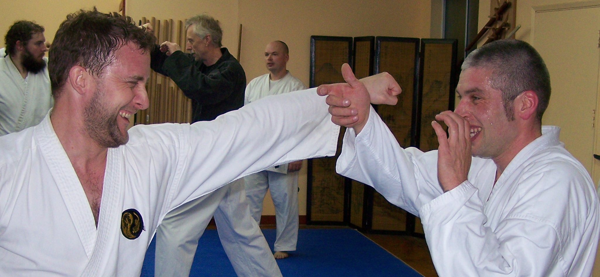 Traditional Martial Arts Academy