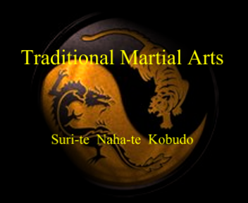 Traditional Martial Arts Academy